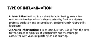 INFLAMMATION.pptx