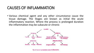 INFLAMMATION.pptx