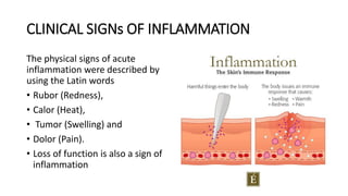 INFLAMMATION.pptx