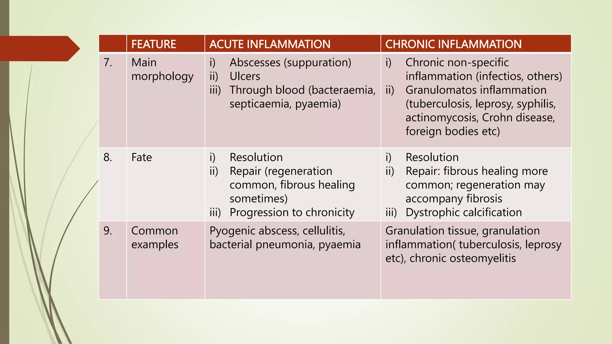 Inflammation.pptx