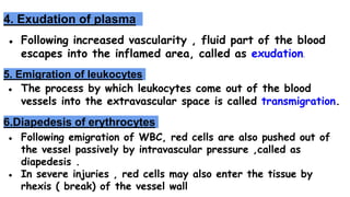 inflammation.pptx