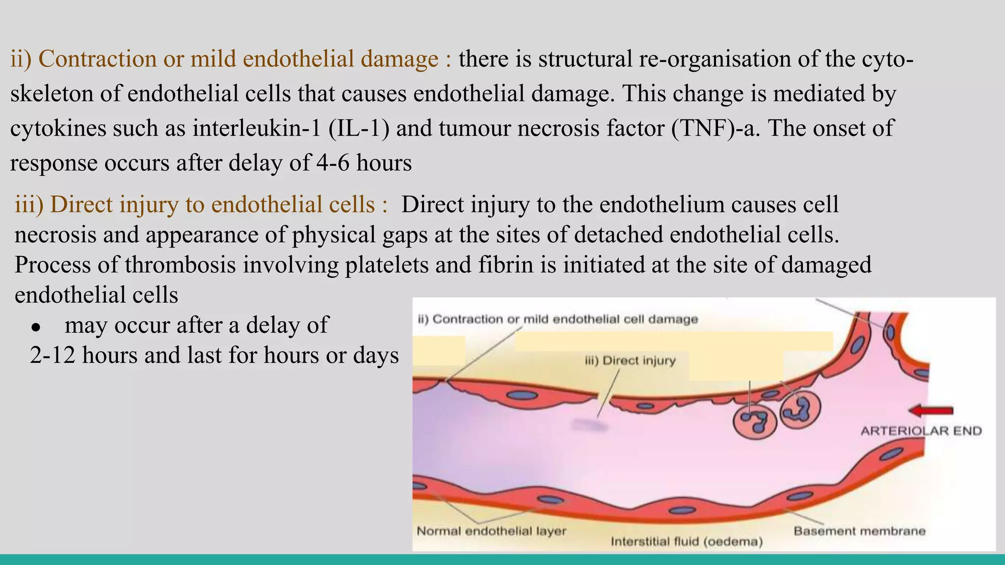 INFLAMMATION.pptx