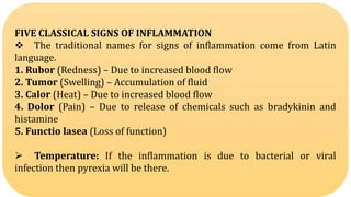 Inflammation.pptx | Skin and Dermatology | Diseases and Conditions