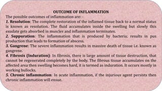 Inflammation.pptx | Skin and Dermatology | Diseases and Conditions
