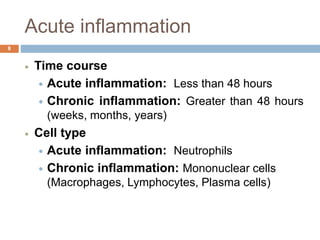 Inflammation.pptx | Blood Disorders | Diseases and Conditions