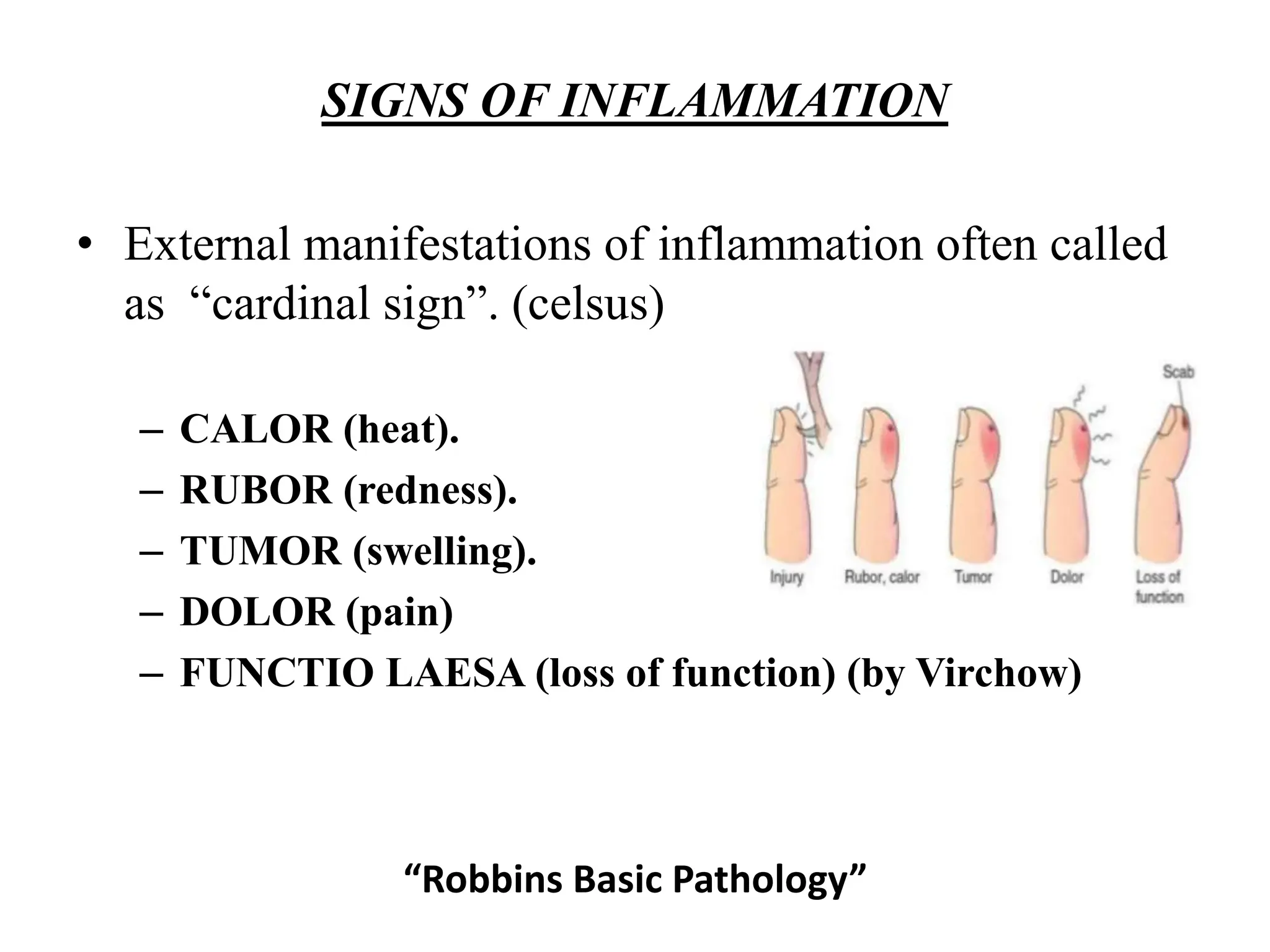 INFLAMMATION.pptx