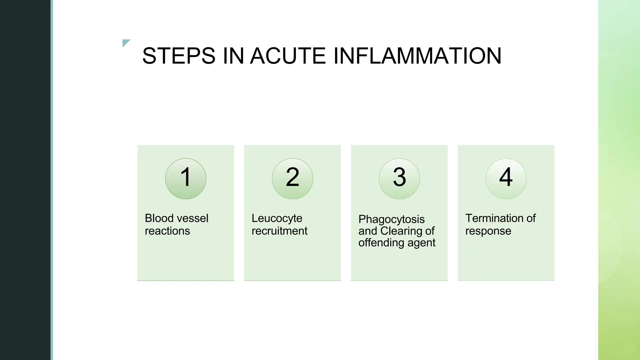 inflammation and necrosis acute and chronic ...