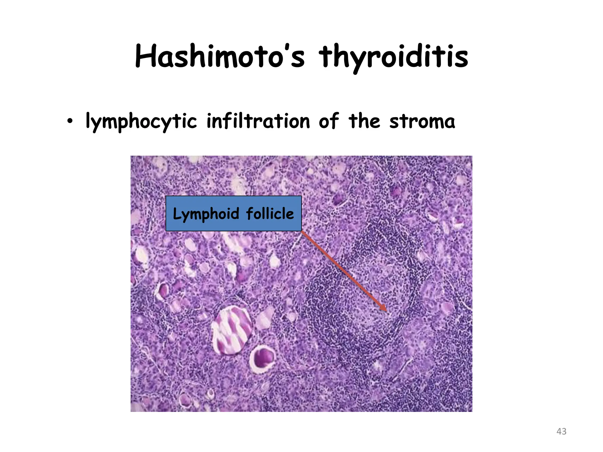 inflammationfor firsthealthstudents.pptx