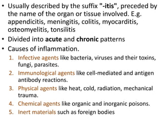 INFLAMMATION healing and repair and questions.pptx