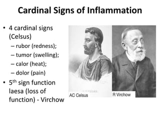 INFLAMMATION healing and repair and questions.pptx