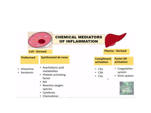 inflammation ppt for medical purpose…………. | PPT