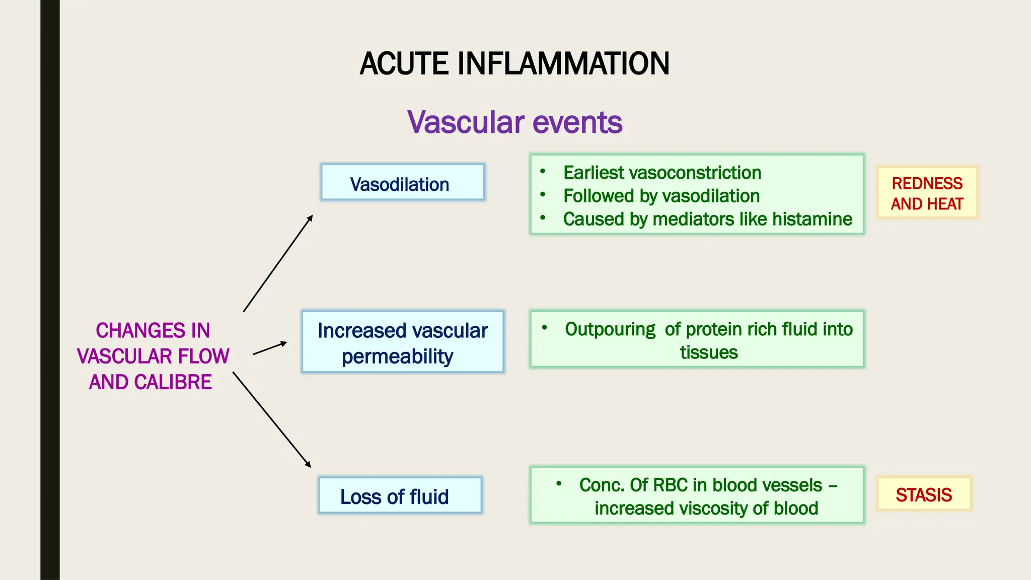 INFLAMMATION ACUTE AND CHRONIC DISEASESS | PPTX
