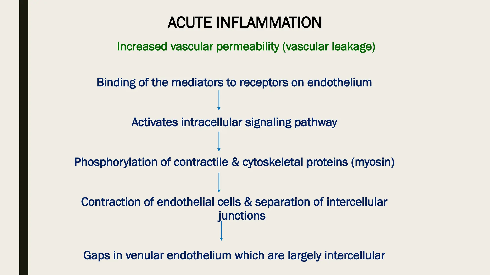 INFLAMMATION ACUTE AND CHRONIC DISEASESS | PPTX