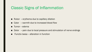 INFLAMMATION ACUTE AND CHRONIC DISEASESS | PPTX