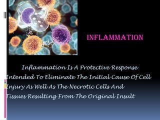 Inflammation- the secret killer-tissue response to injury | PPTX