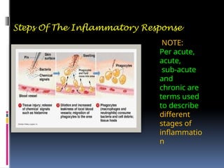 Inflammation- the secret killer-tissue response to injury | PPTX