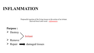 INFLAMMATION - common terms and full description.pptx