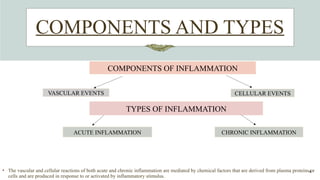INFLAMMATION - GENERAL CHARACTERTISTICS | PPTX