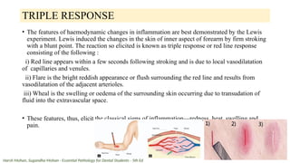 PATHOLOGY OF ACUTE AND CHRONIC INFLAMMATION.pptx