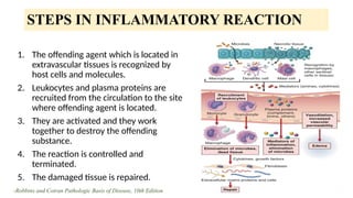 PATHOLOGY OF ACUTE AND CHRONIC INFLAMMATION.pptx
