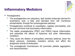 Comprehensive Overview of Inflammation: Causes, Mediators, and ...