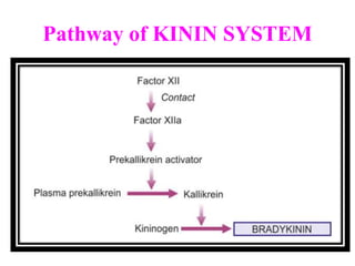 INFLAMMATION: Lecture - 3 | PPTX