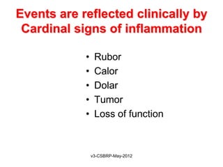 Inflammation 5 | PDF