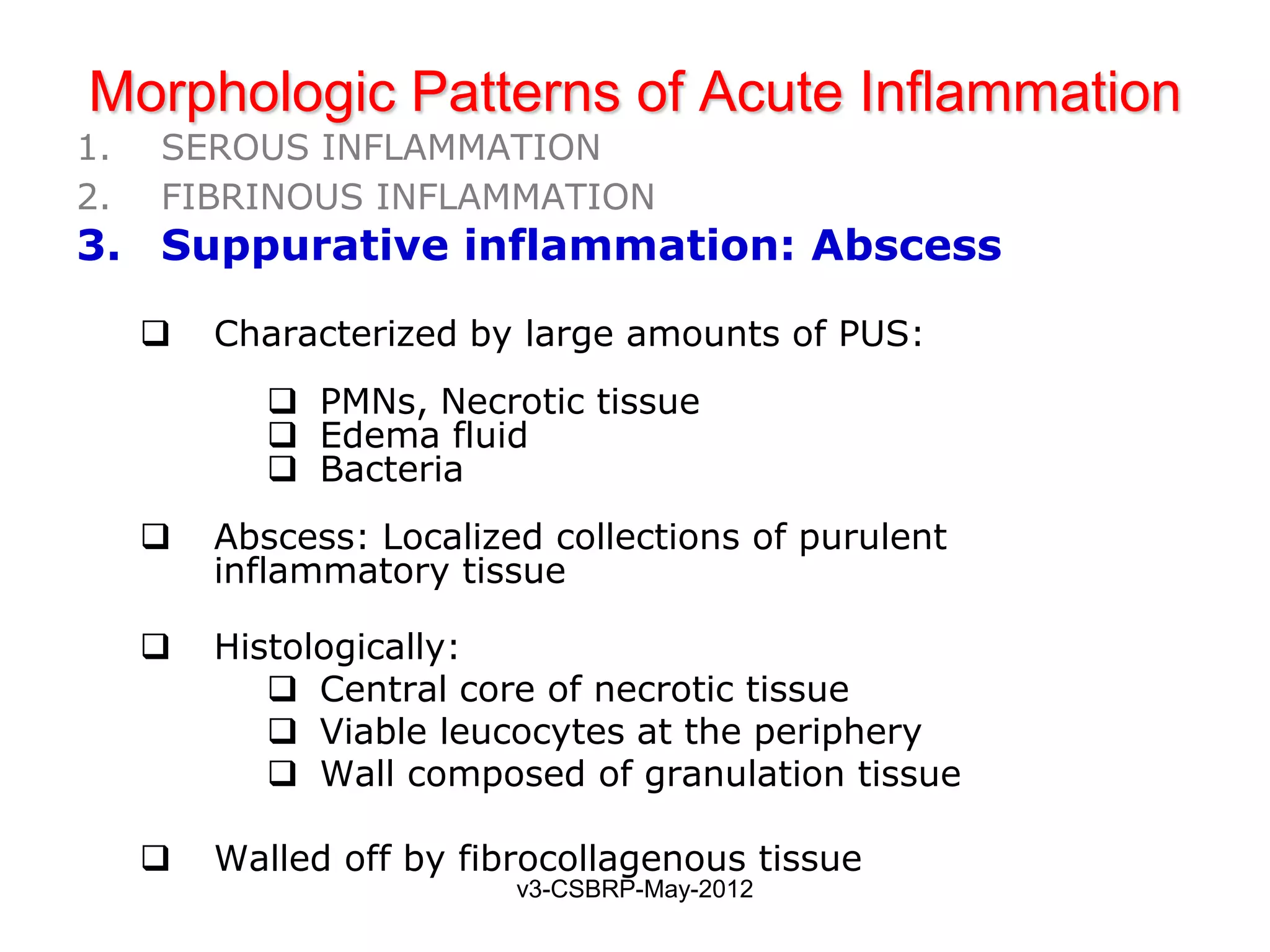 Inflammation 6 | PDF