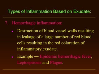 Hemorrhagic Exudate