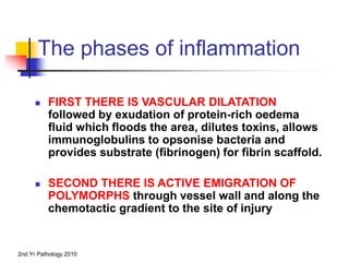 Inflammation-and-repair-lecture.ppt