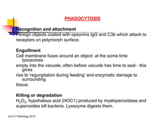 Inflammation-and-repair-lecture.ppt