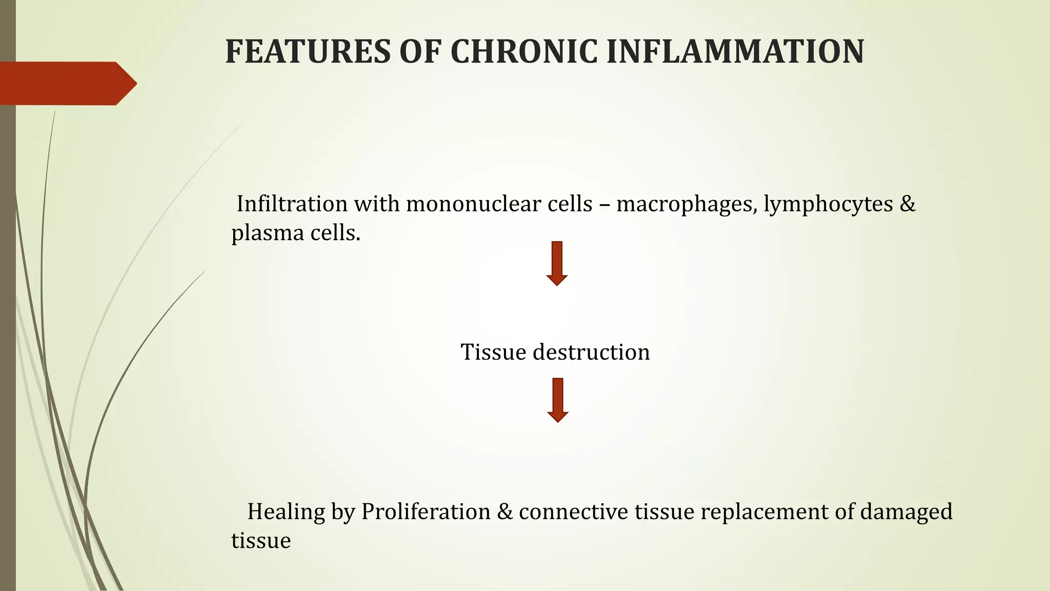 Inflammation | PPTX