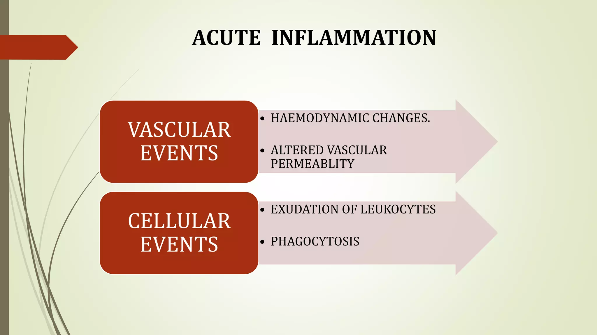 Inflammation | PPTX