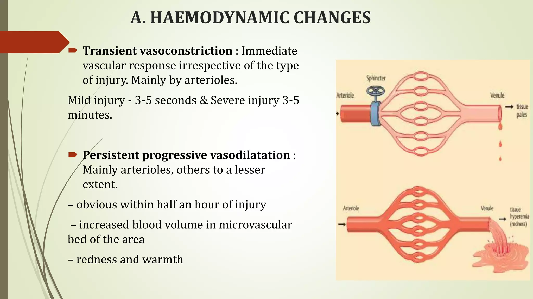 Inflammation | PPTX