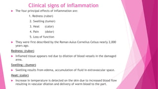 Inflammation lecture 4 | PPT