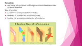 Inflammation lecture 4 | PPT