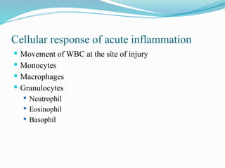 Inflammation- vascular response best .pptx