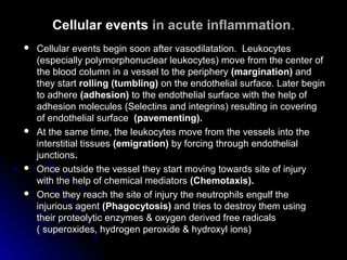 Inflammation | PPT