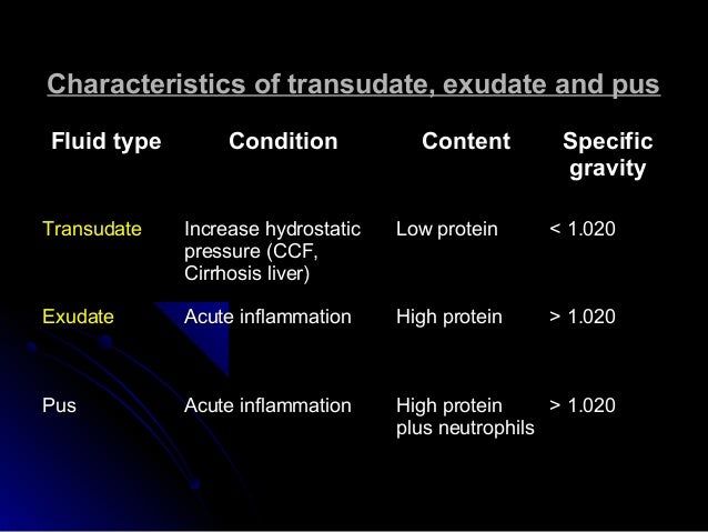 Proteinaceous Exudate