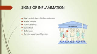INFLAMMATION 1everything about inflammation.pptx