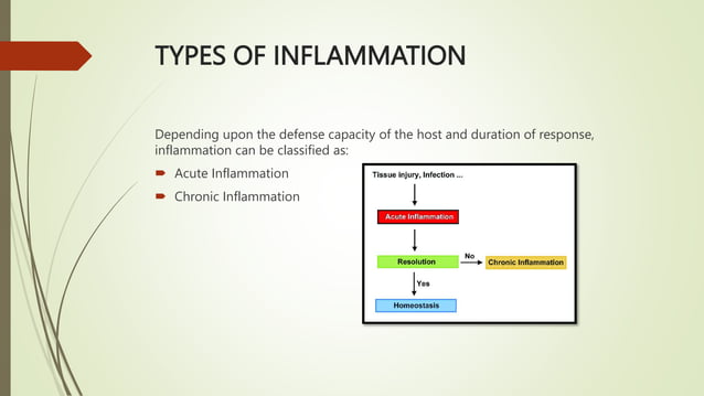 INFLAMMATION 1everything about inflammation.pptx