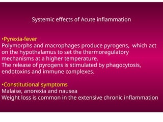 inflammation 1.ppt defending response , typical pathological process | PPT