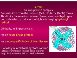 inflammation 1.ppt defending response , typical pathological process | PPT