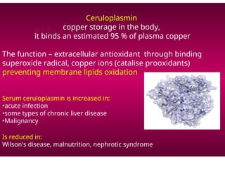 inflammation 1.ppt defending response , typical pathological process | PPT