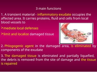 inflammation 1.ppt defending response , typical pathological process | PPT
