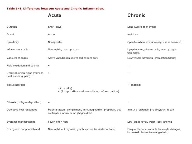 Difference Between Acute And Chronic Inflammation Table