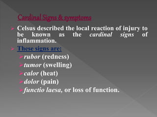 Inflammation and Cellular Responses | PPTX
