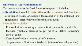 INFLAMMATION 2.pptx
