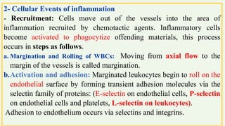 INFLAMMATION 2.pptx