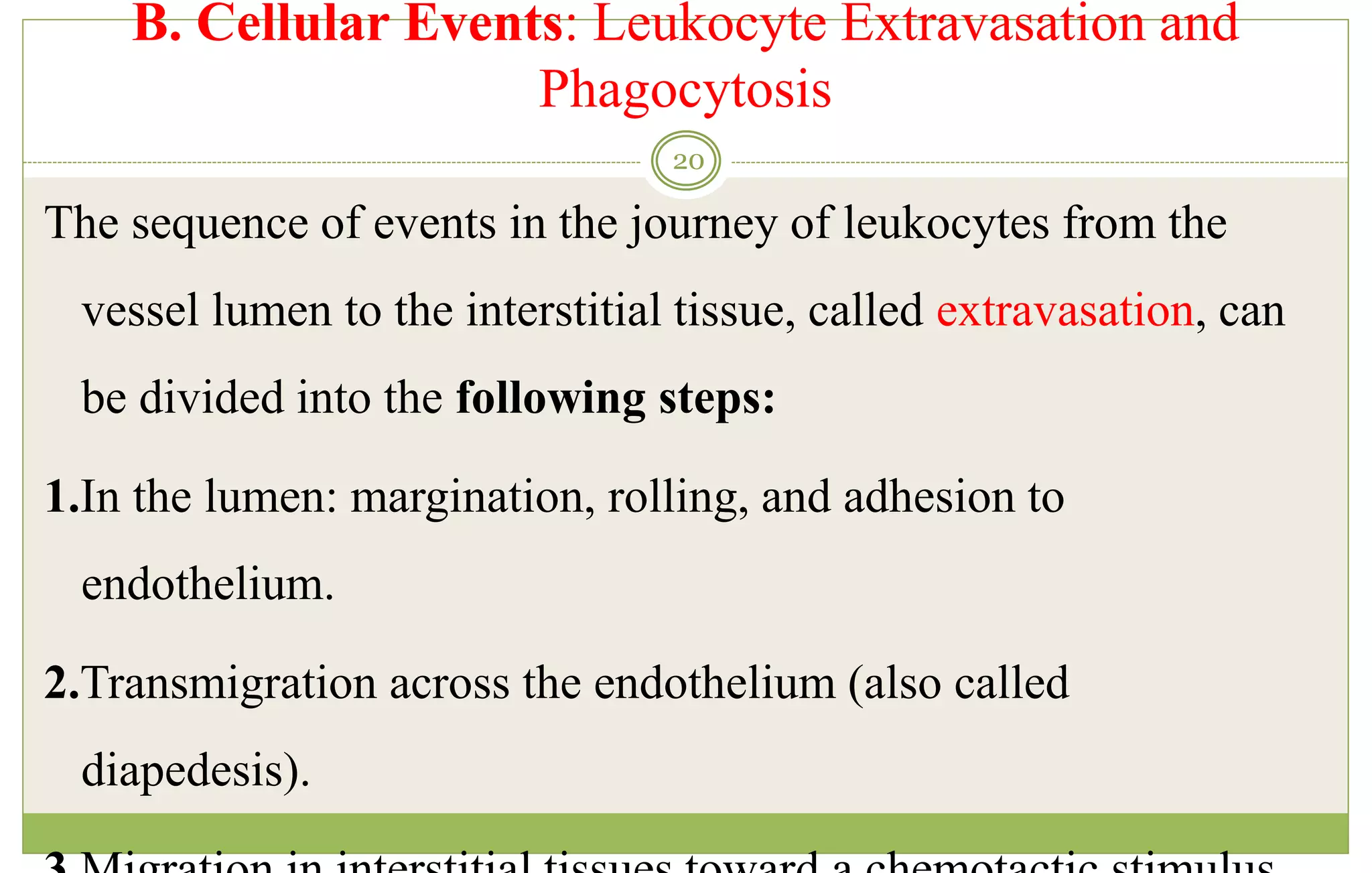 Inflammation (2).pptx